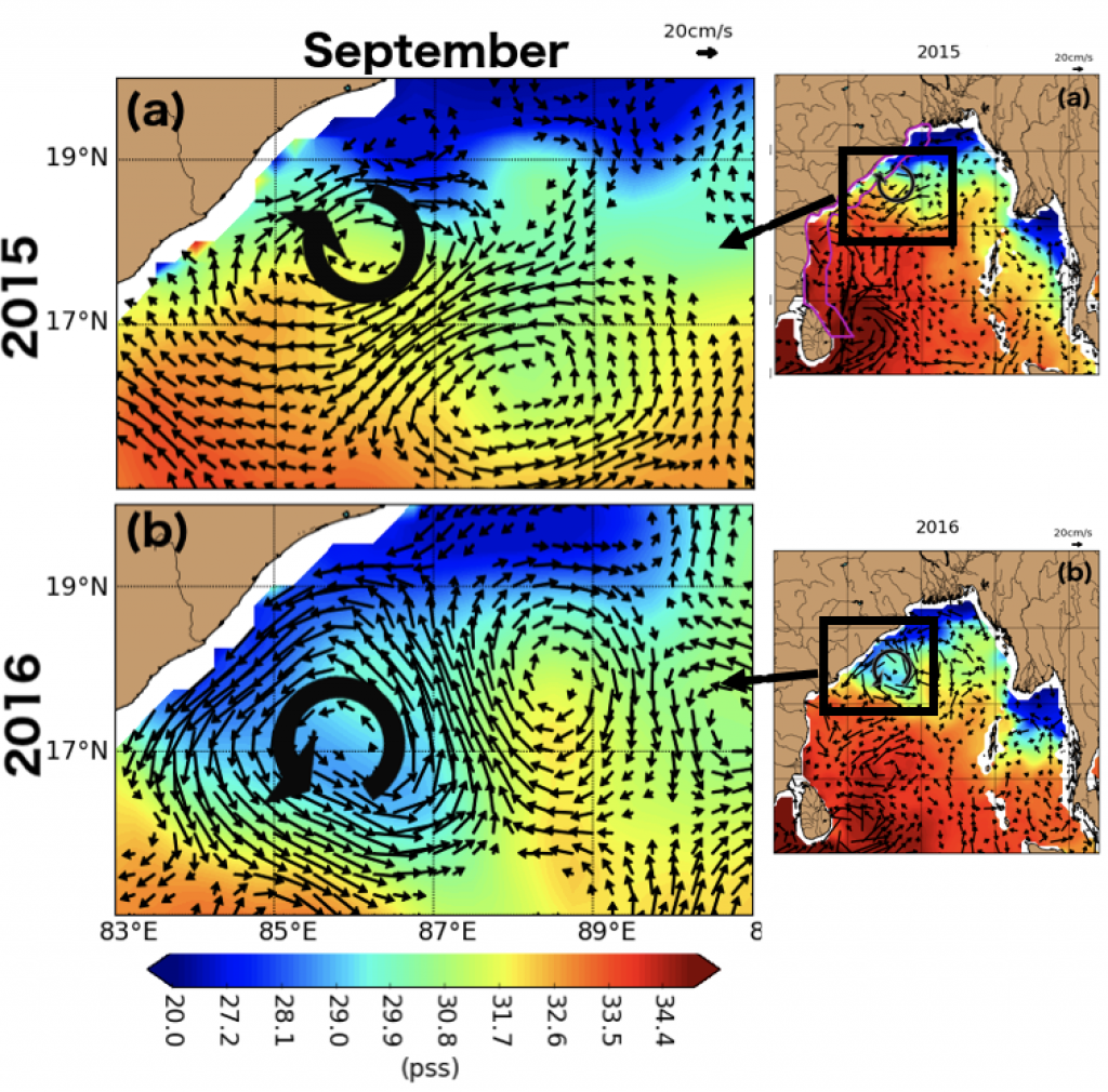 Ocean eddies and river plume extension seen from space | Duacs